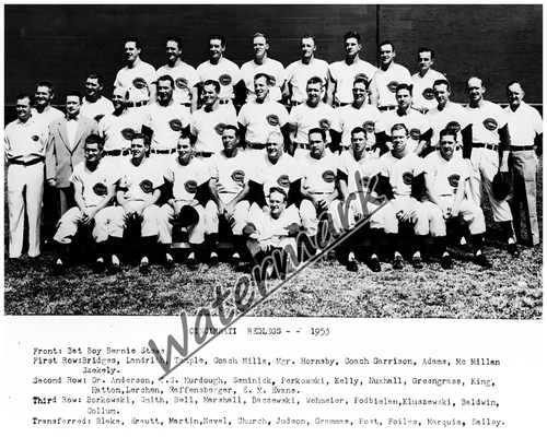 MLB 1953 Cincinnati Reds Black & White Team Picture with Names 8 X 10 ...