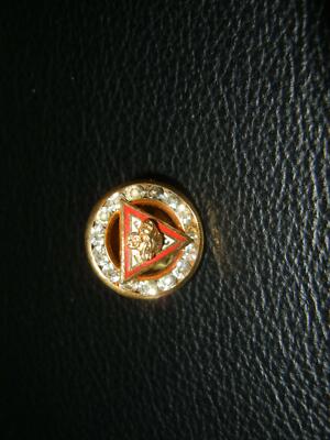 Antique Pin FHC Rhinestone Moose Lodge Pin | eBay