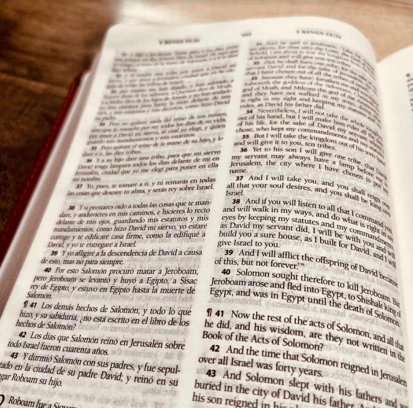 One Year Bible In Spanish