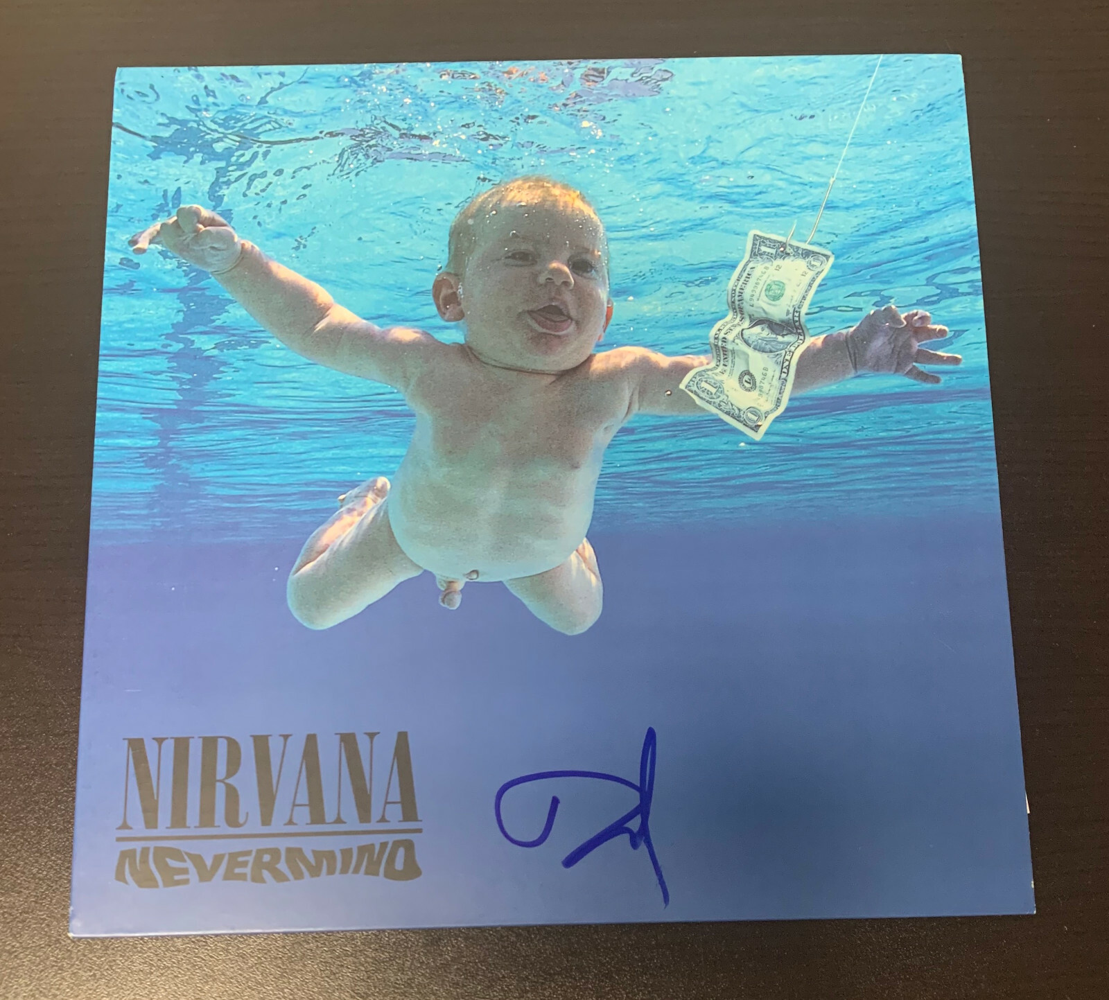 Nirvana Nevermind Wallpaper