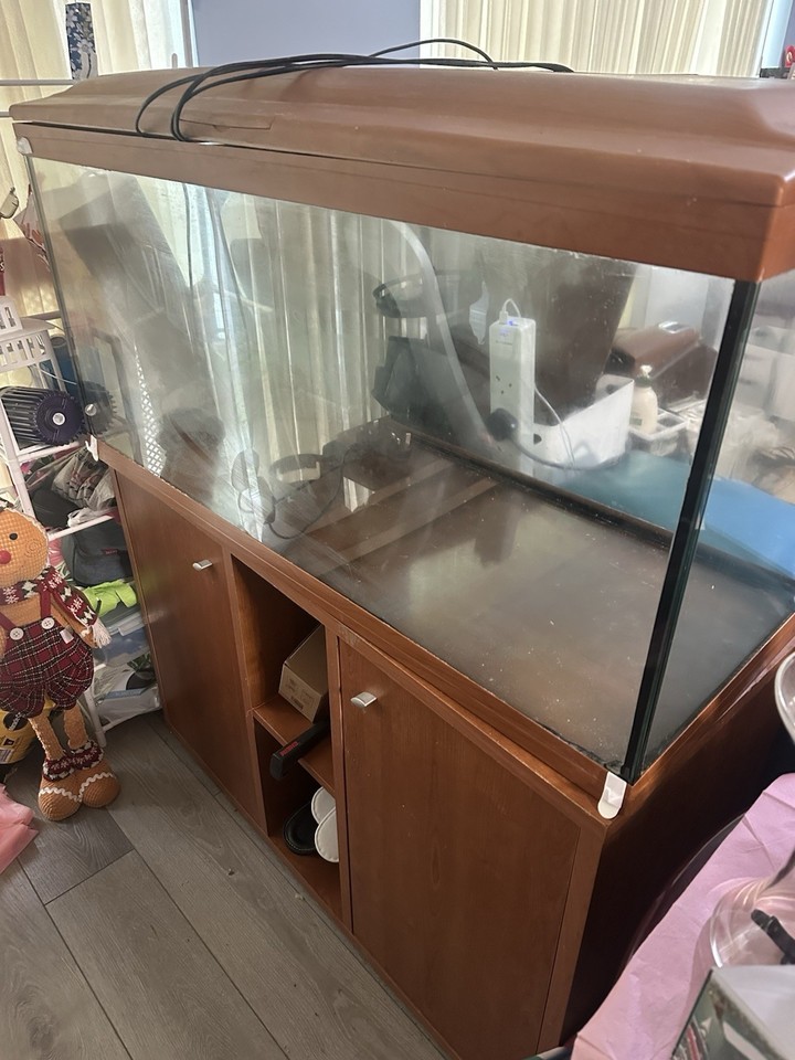 260l Large Glass Fish Tank with LED Lights and Cabinet | eBay UK