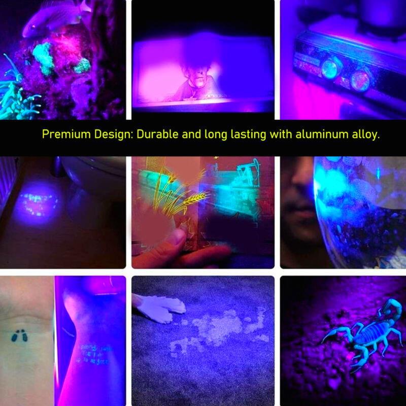 Uv Rodent Tracker Light Rodotrak Rodent Detection System