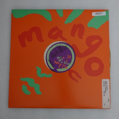 Shelly Thunder Jump Around PROMO SINGLE Vinyl Record Album | eBay