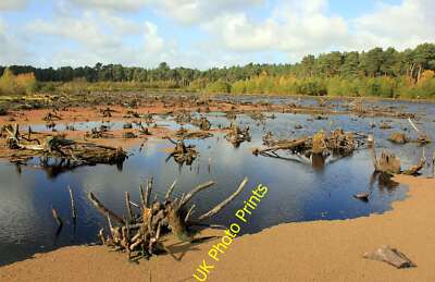 Photo 6x4 Blakemere Moss, Delamere Forest Park Hatchmere Blakemere Moss ...