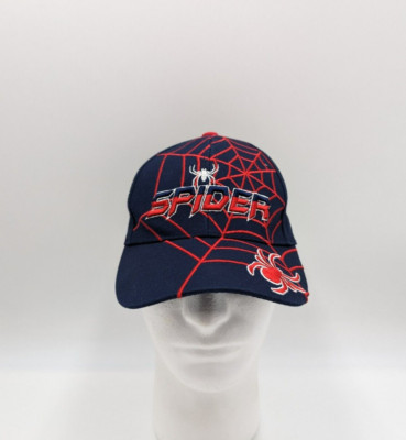 Spider Web Hat Blue Logo Adjustable Cap DC Comics Spiderman Justice ...