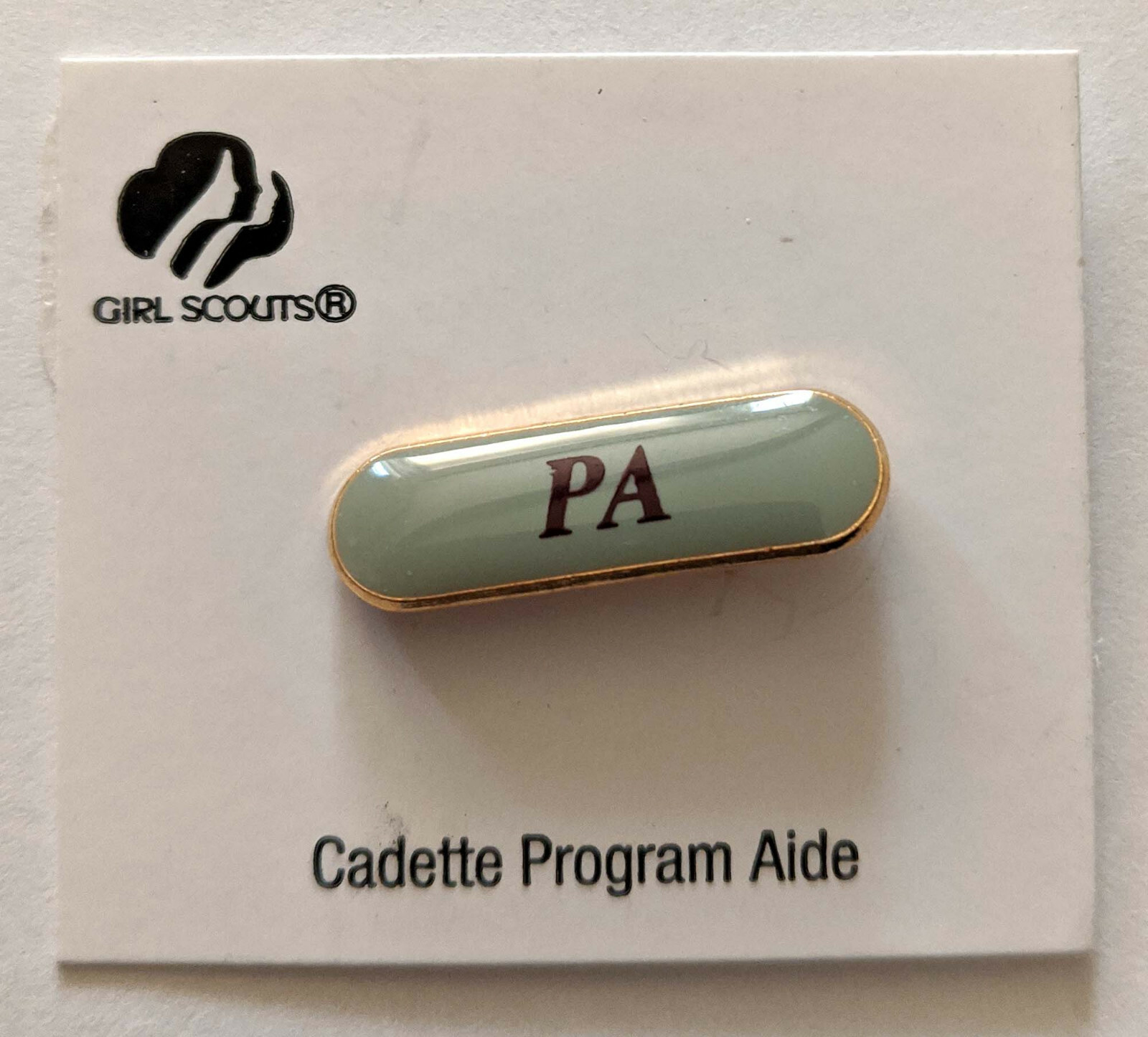 PRE-2011 Girl Scout Cadette PA PROGRAM AIDE AWARD PIN Aid Assistant ...