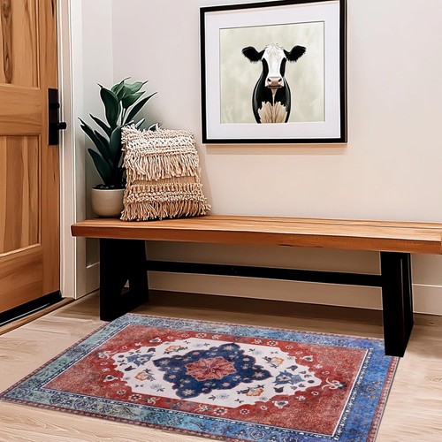 Entrance Rugs Indoor 2x3 Rust Washable Rug Small Area 2 x 3 Feet, | eBay