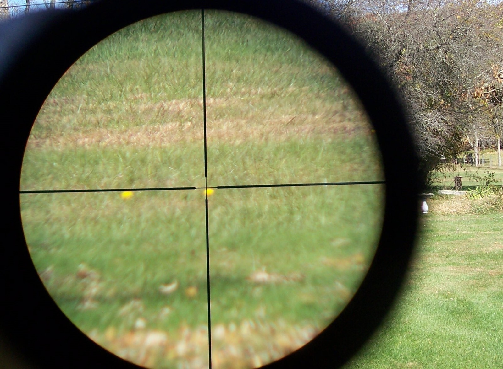 Weaver CKT-15x A.O. Target Varmint Gloss Rifle Scope | eBay