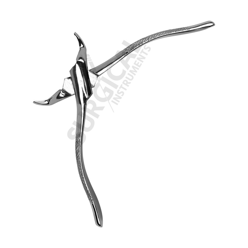 Extracting Forceps #210S Dental Surgical Instruments Stainless German ...