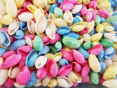 100 Mixed Color Bubble Shells 3/4" - 1" Beach Craft Colorful Party ...