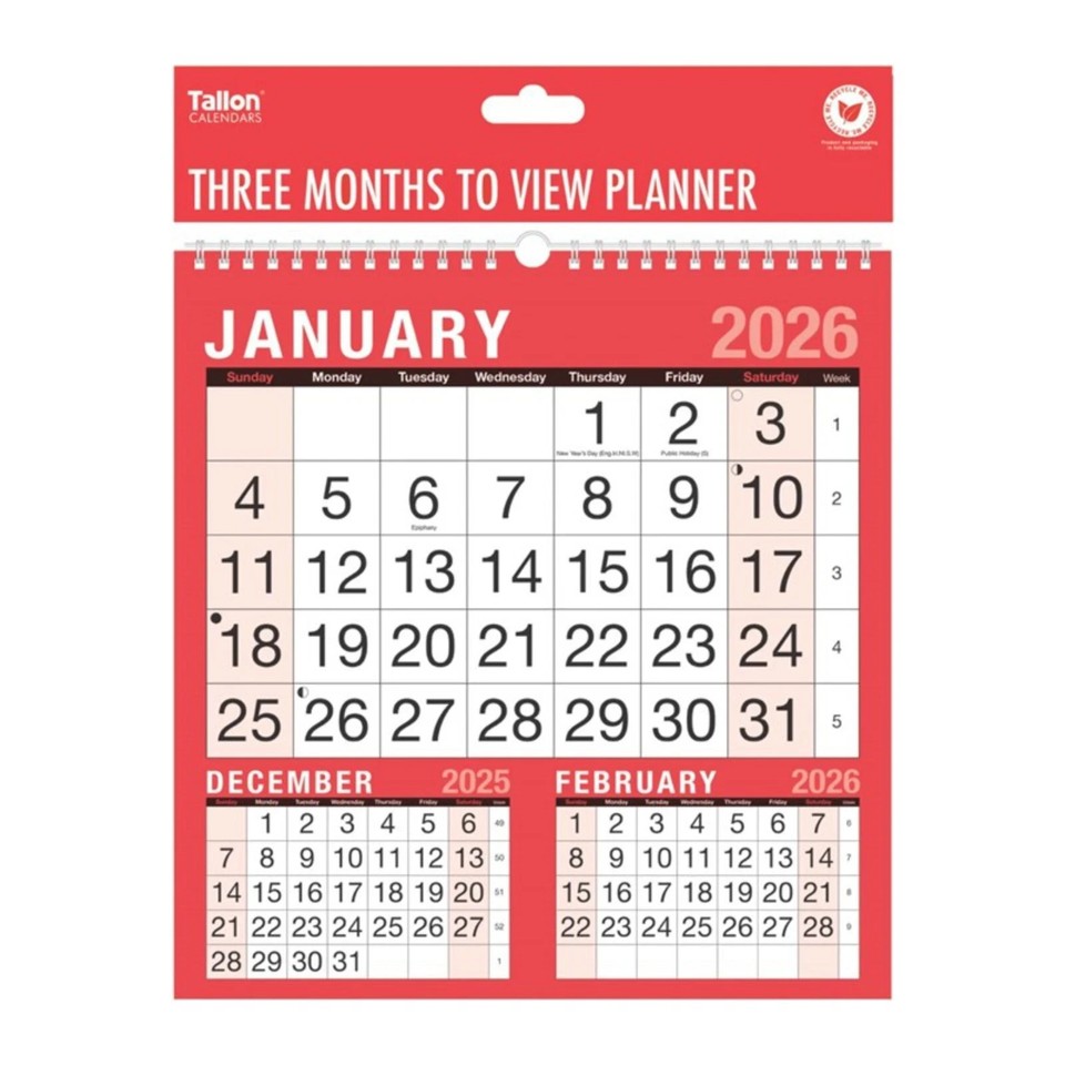 Calender Wall 2026 Slim Calender, A4 Large Month to View Planner ...