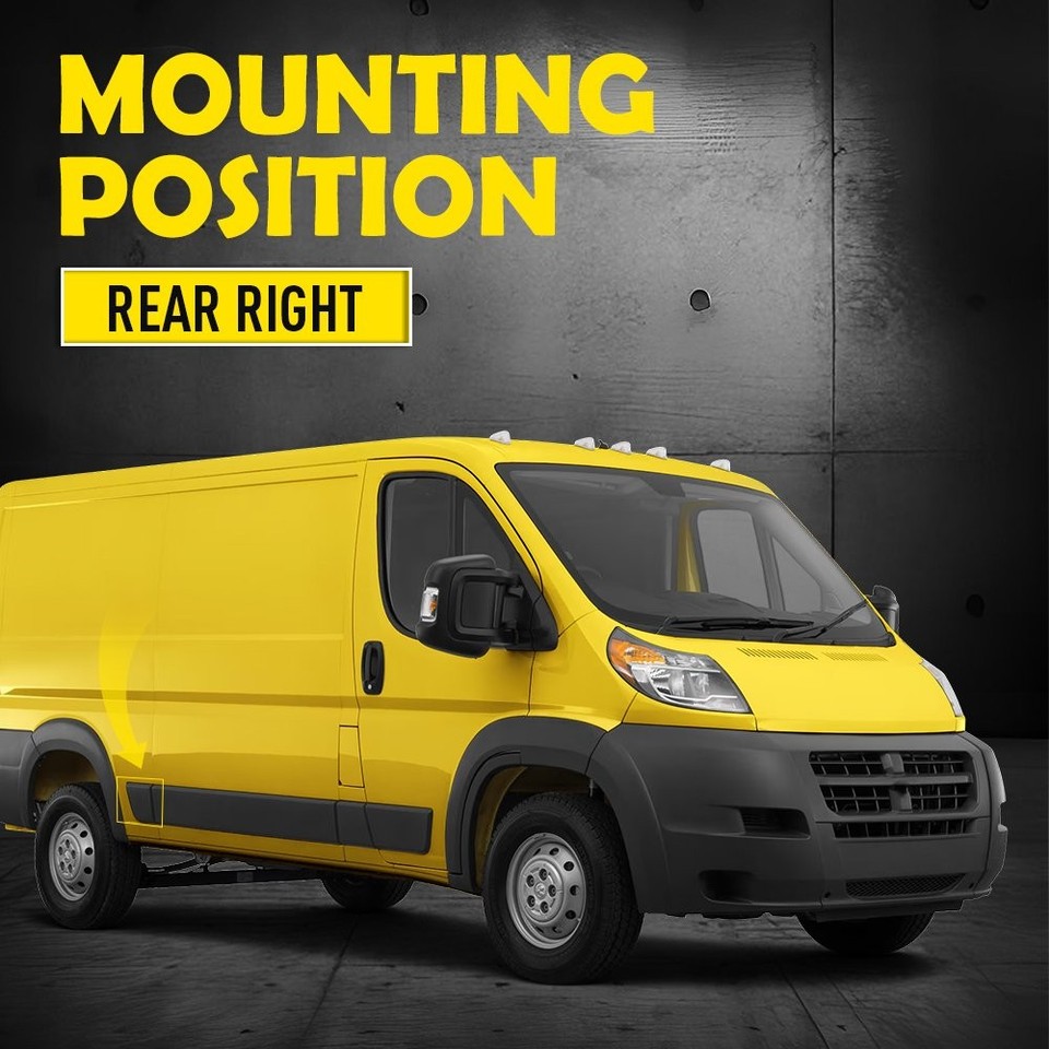 For Dodge Ram ProMaster 2014-2018 REAR DOOR TRIM BODY MOLDING COVER ...