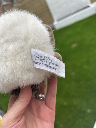 Graduation Teddy Owl With Hat Gift Sentimental Birthdays Bury, England ...