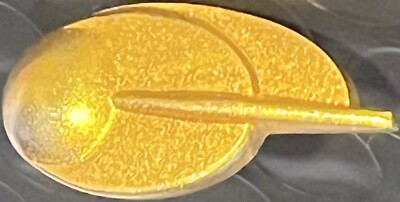 Star Trek Bajoran CAPTAIN PIN Badge Insignia Uniform Deep Space Nine ...