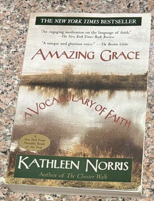Amazing Grace: A Vocabulary of Faith by Norris, Kathleen 9781573227216 ...