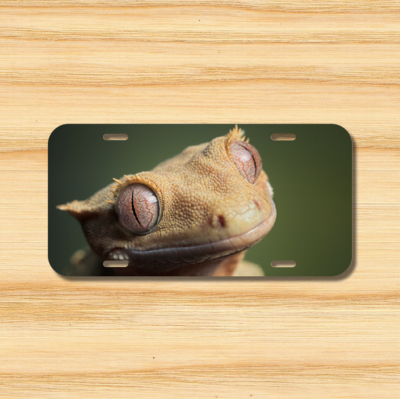 Crested Gecko License Plate Front Vehicle Auto Tag Lizard Reptile Herp ...