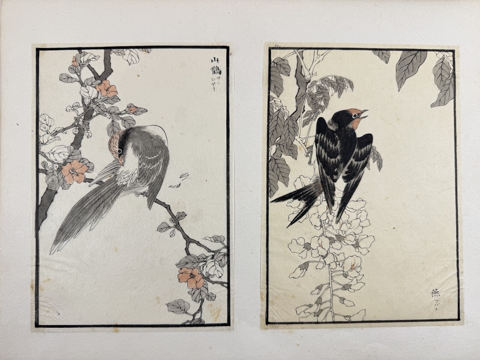 Japanese Drawing Book “Kachoshu” Picture of birds and flowers 49 ...