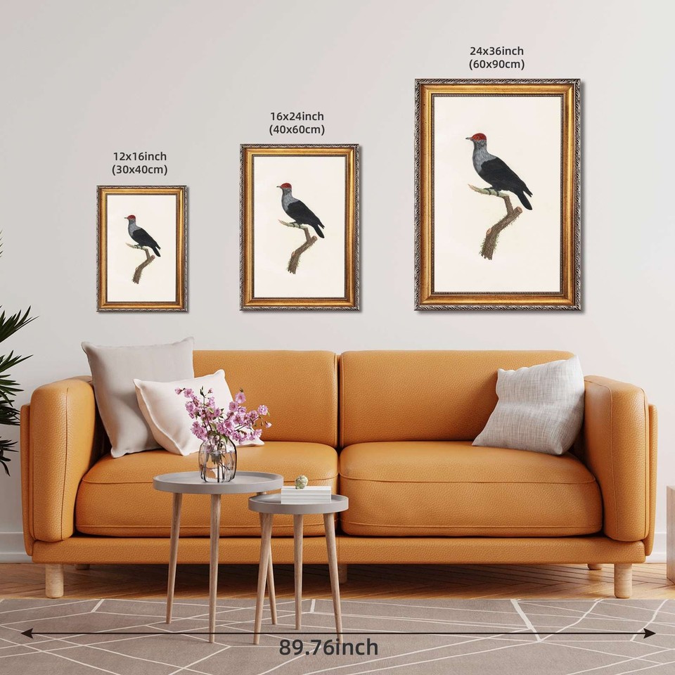 Red Crested Bird Wall Art Canvas Oil Paintings Reproduction | eBay