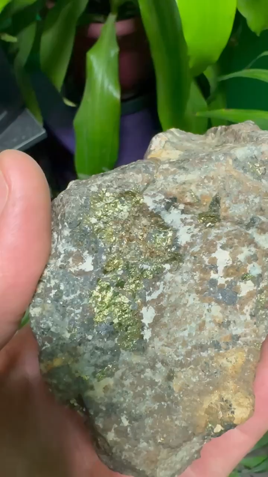 Large And Extremely Rare Gold Ore in Quartz Specimen - Museum Quality ...