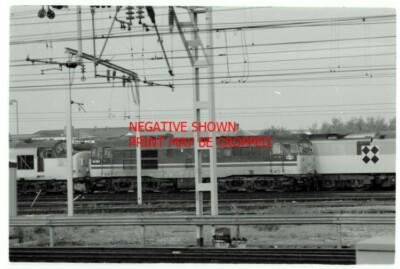 PHOTO BR CLASS 31 LOCO NO 31420 | eBay
