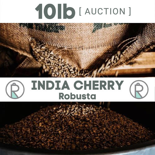 10lbs India Cherry A Robusta Coffee Beans - Unroasted - Green | eBay