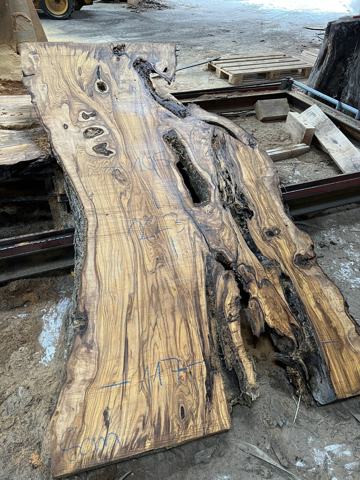 Olivenholz Bohlen Olive Bretter 0.75m3 Kubikmeter, 650kg | eBay.de