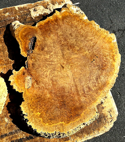 8/4 Australian Bimble Box Burl - 26" x 17" x 2" [E-204] | eBay
