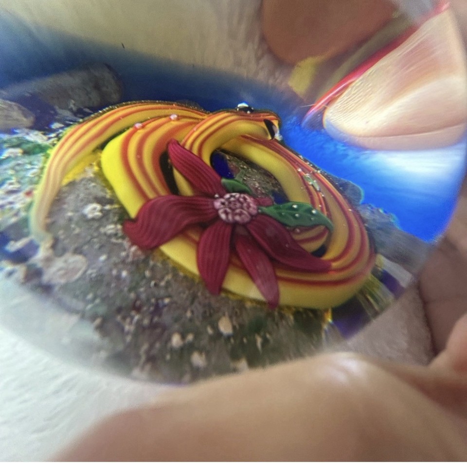 Large Baccarat Crystal France 1970 Coiled Garden Snake Art Glass ...