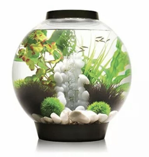 Round Aquariums & Tanks for sale | eBay