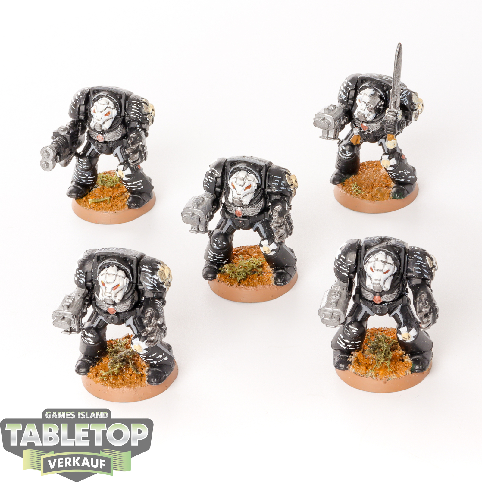 Black Templars - 5 x Terminator Squad klassisch - bemalt | eBay