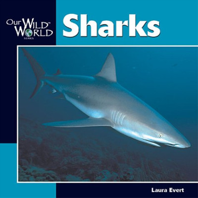 Sharks:Our Wild World BOOK NEUF | eBay
