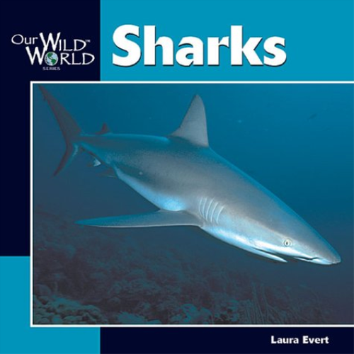 Sharks:Our Wild World BOOK NEUF | eBay