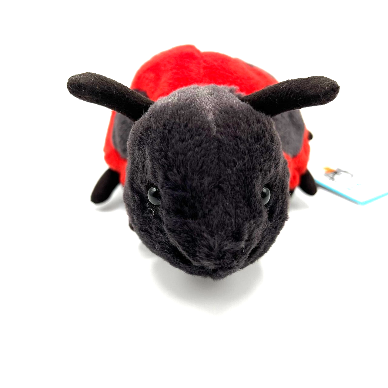 JellyCat Plush Layla Ladybied W15cm 5.9in NWT, w/Gift Wrap | eBay