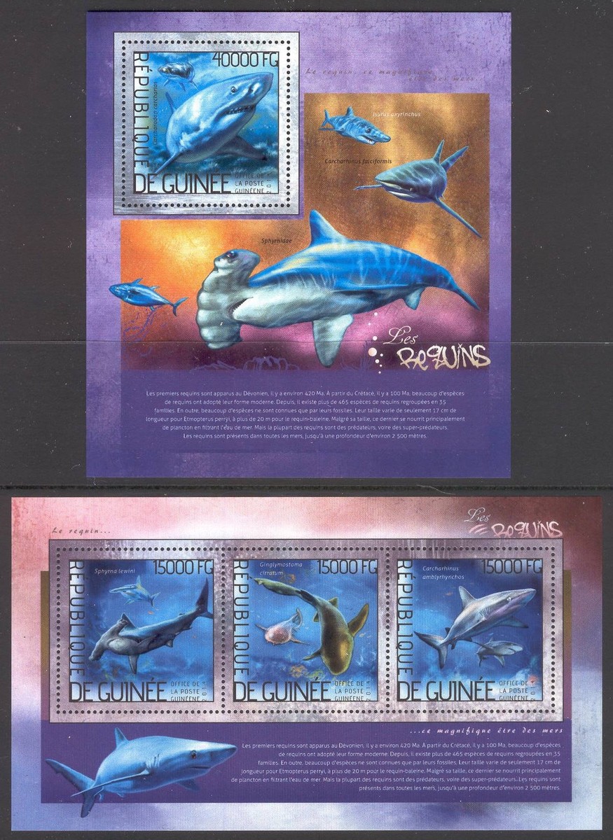 Le Requin Le Plus Laid