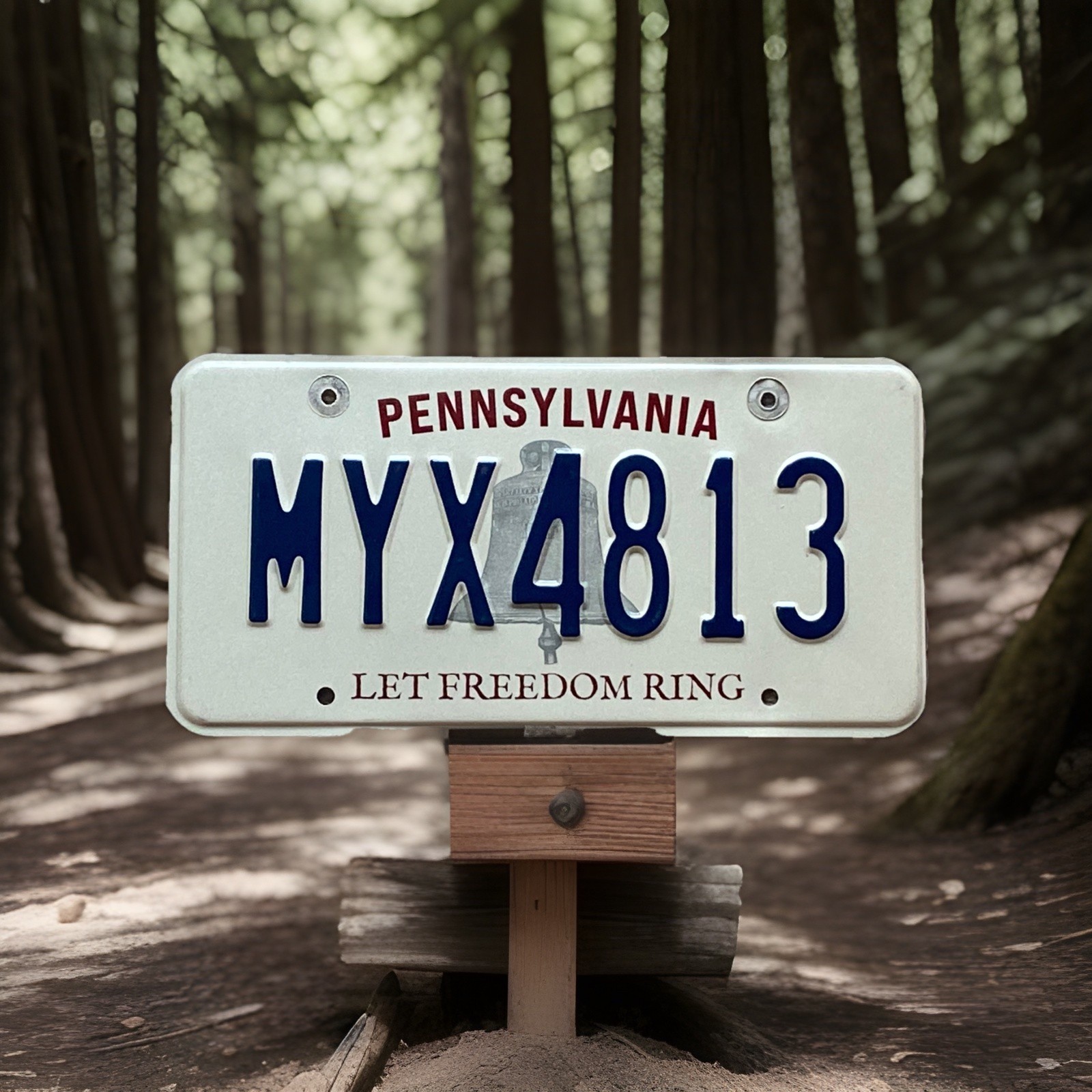 Pennsylvania License Plate - Let Freedom Ring - Liberty Bell - 4 Years ...