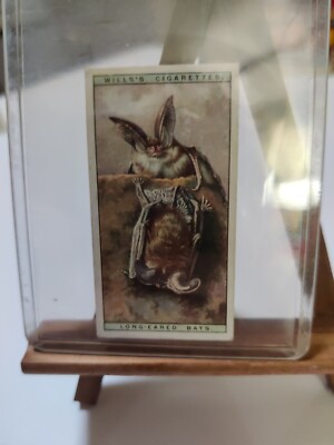 Wills Life In The Tree Tops #1 Long-Eared Bats Cigarette Card (CC161) | eBay