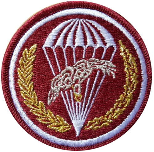 1325 GROM OFFICERS PATCH 6TH POMORSKA AIRBORNE BRIGADE GOLDEN THREAD ...