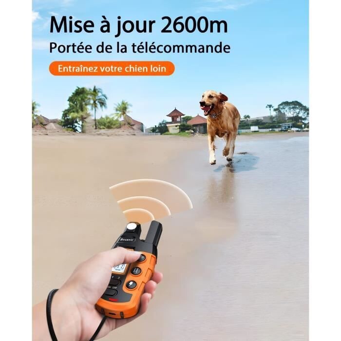 2 Dog Training Collars 2600M IP67 Rechargeable Vibration Remote Orange ...
