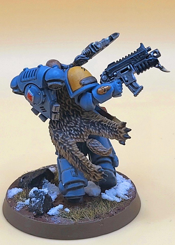 Painted Primaris Lieutenant Space Wolves SpaceMarines Warhammer 40k | eBay