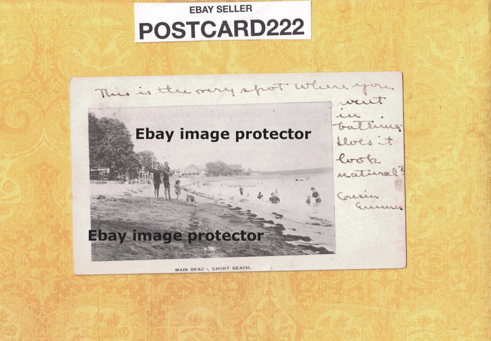 CT Short Beach Branford 1905 antique postcard HOUSES & SWIMMERS ...