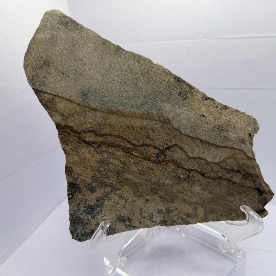 Old Stock African Queen Picture Jasper Slab Namibia 282g - 8" Polished ...