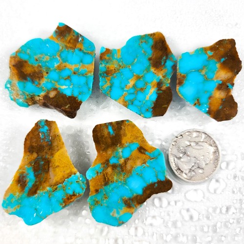 GS936 Webbed Hardy Pit Kingman turquoise rough slabs 58.7 grams ...