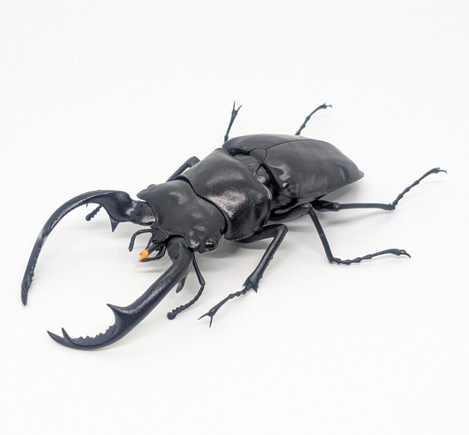 Bandai Gashapon Stag Beetle Action Figure Big Realistic Insect from ...