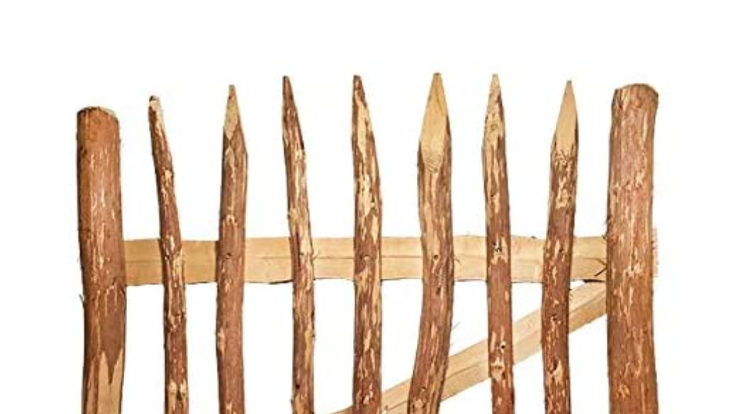 Hazel Gates's Instagram, Twitter & Facebook on IDCrawl