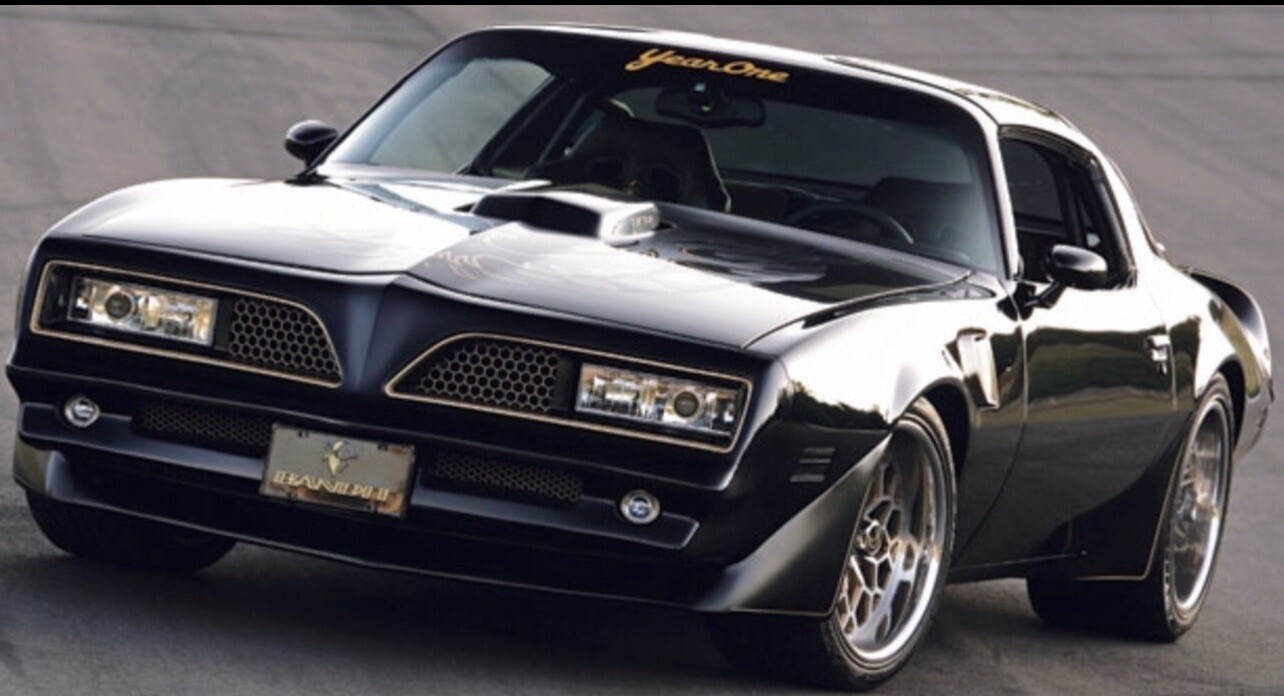 77 78 79 80 81 Firebird Trans Am Custom Flush Mount Wheel Well Flare ...