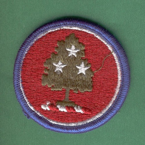 ARMY TENNESSEE NATIONAL GUARD PATCH | eBay