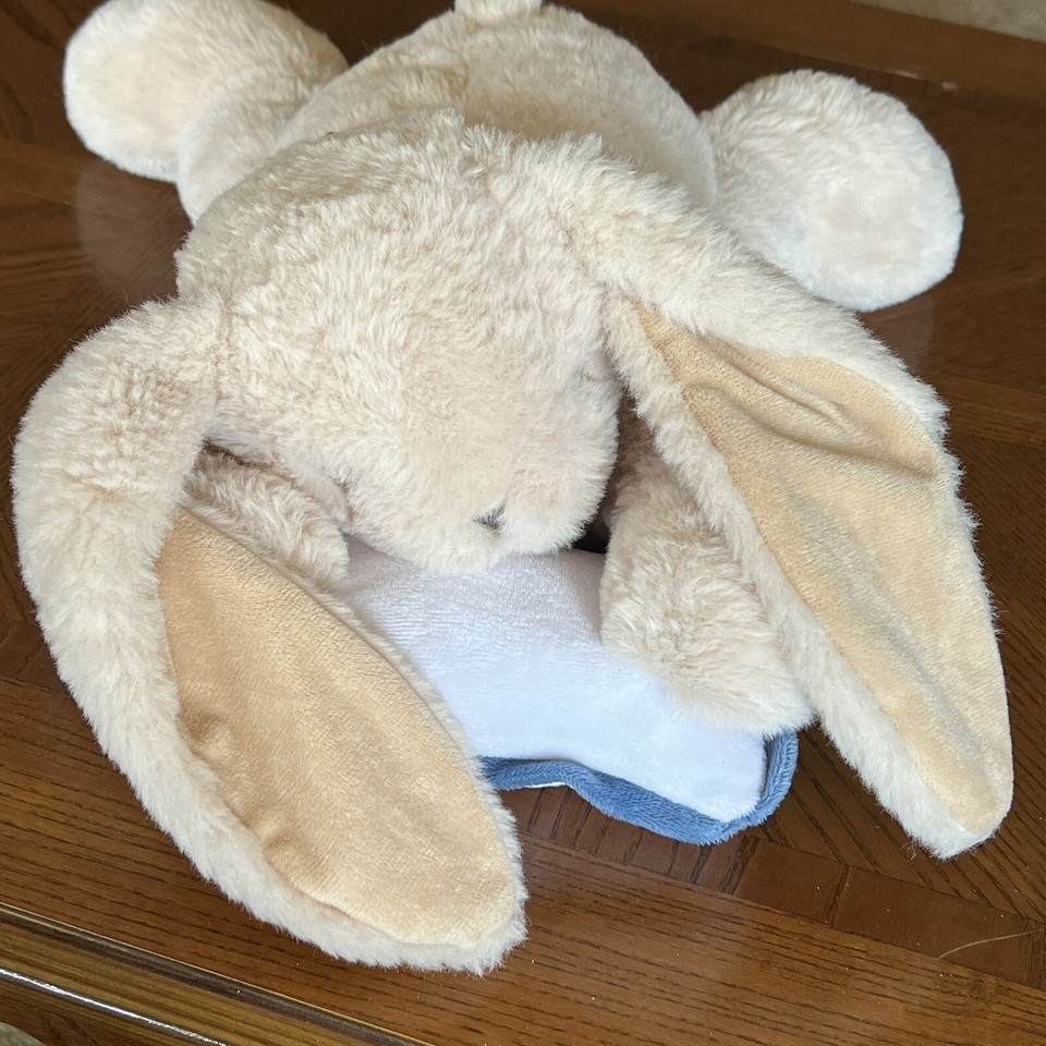 Miniso Bunny Rabbit Cream Stuffed Animal Embroidered Eyes Nose With ...