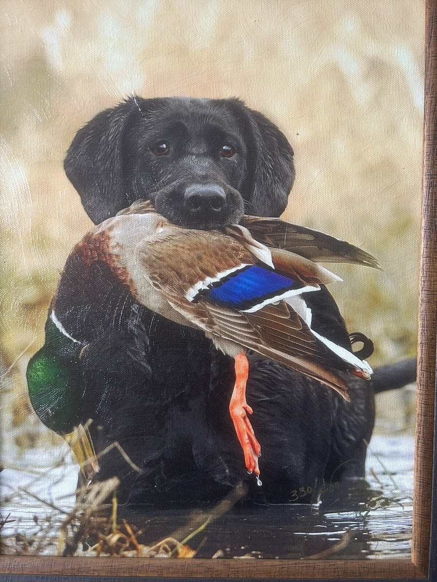 Ducks Unlimited Dogs