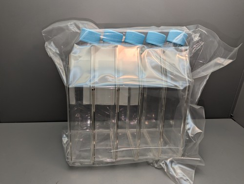 Thermo Scientific BioLite T75 Flasks w/cap, cell culture treated ...