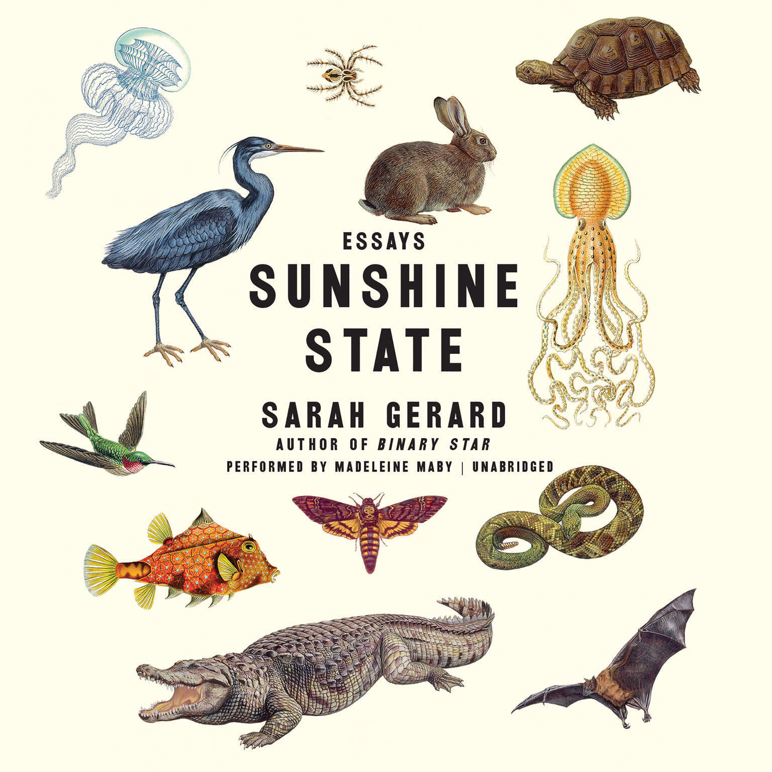 Sunshine State by Sarah Gerard 2017 Unabridged CD 9781538412565 ...